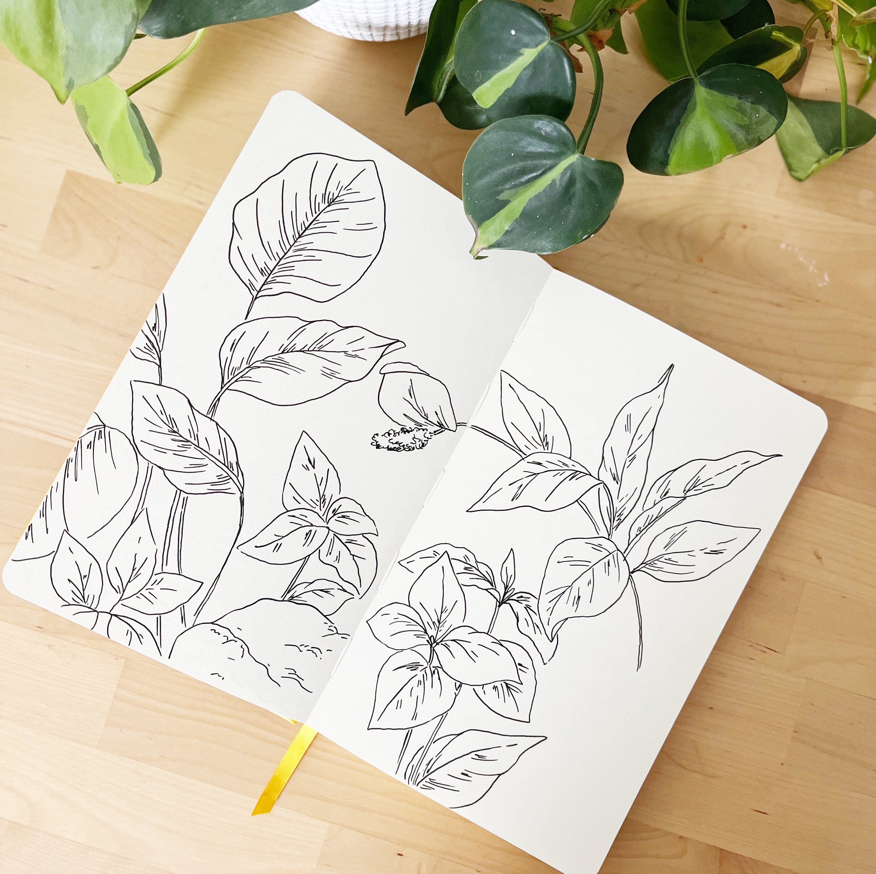 Drawing Guide: Foliage & Greenery – Tom's Studio