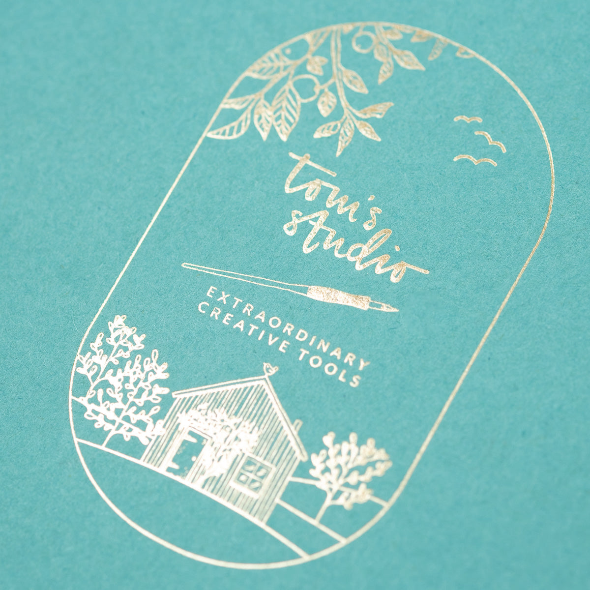 Beginners Modern Calligraphy Kit – Tom's Studio