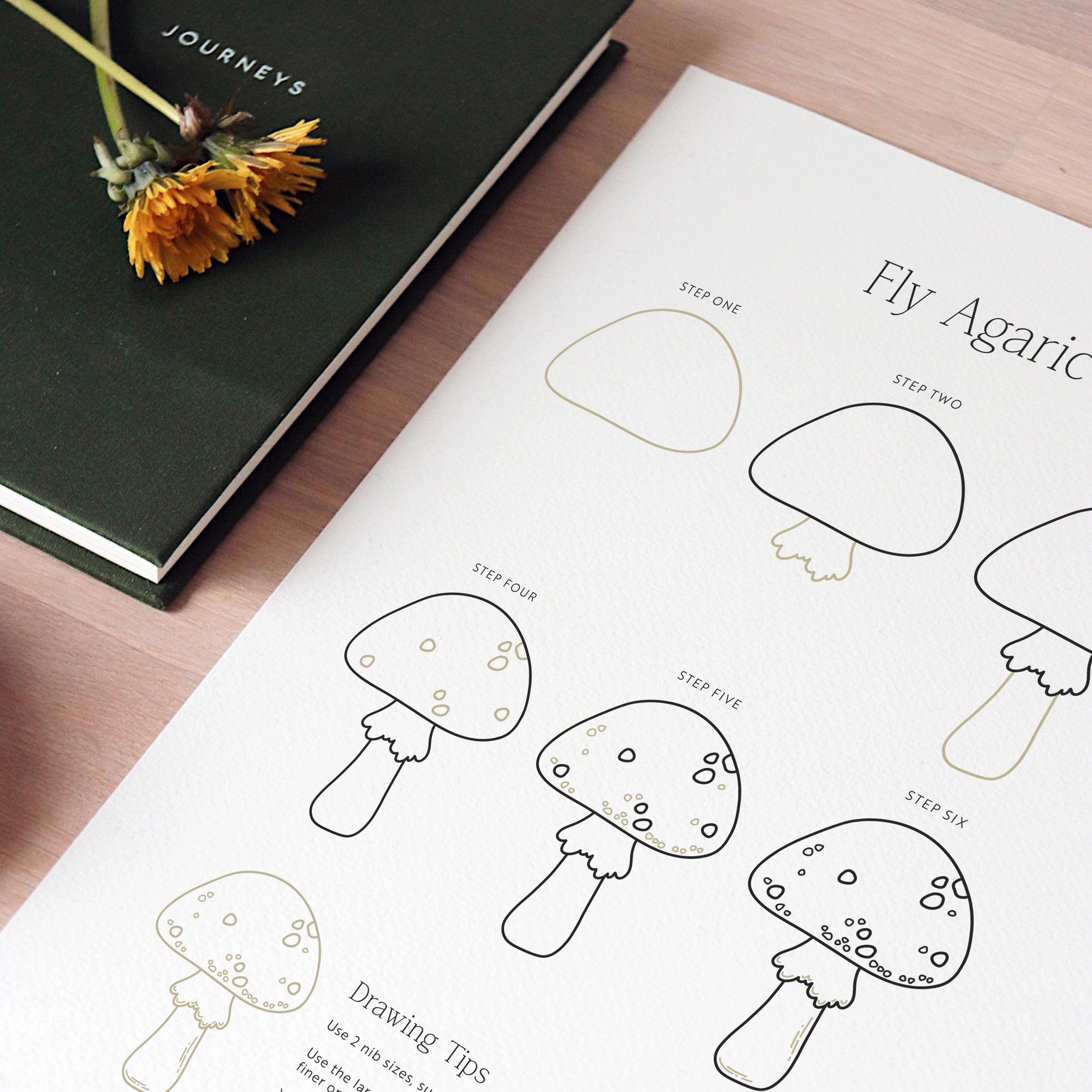 Drawing Guide: British Countryside – Tom's Studio