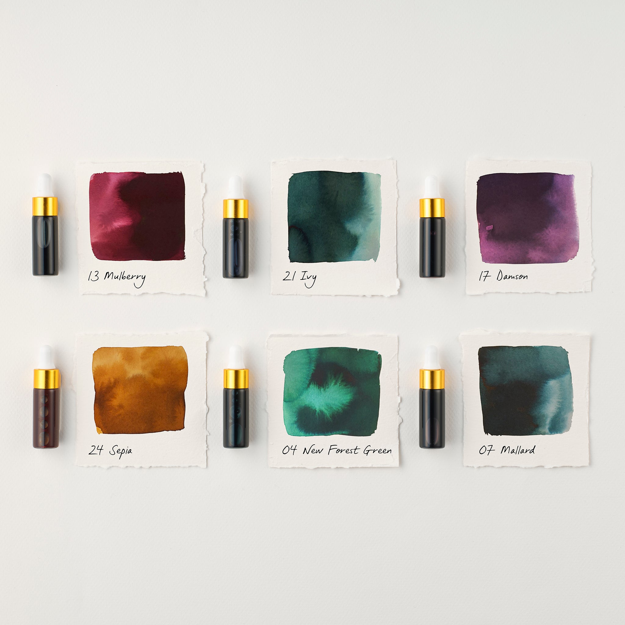 Botanical Mini Ink Collection – Tom's Studio