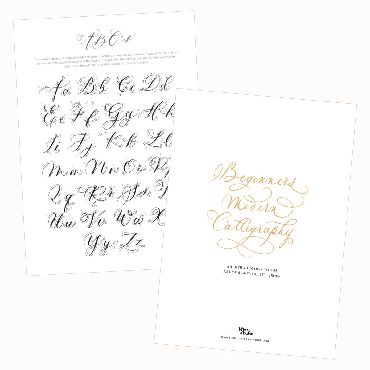 Digital Guide: Beginner's Modern Calligraphy – Tom's Studio