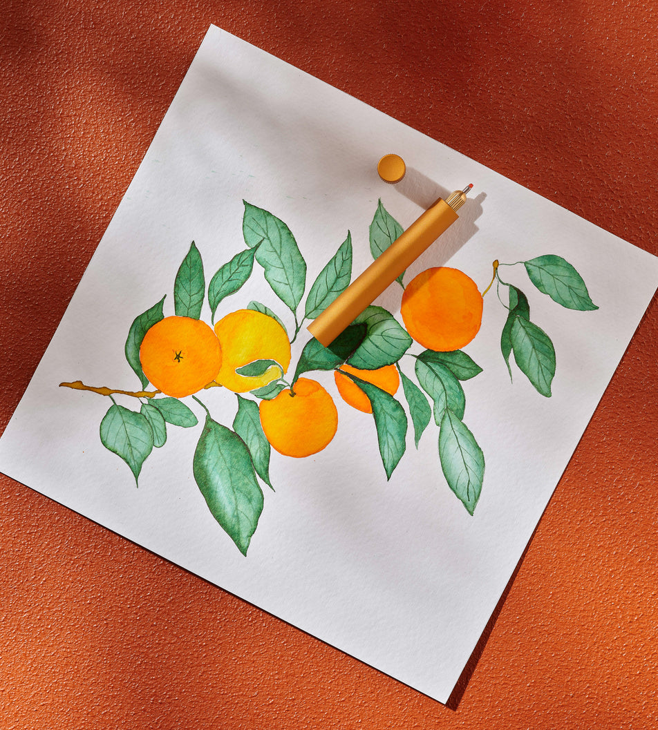 Tom's Studio | Wren refillable everyday writing pen FAQs