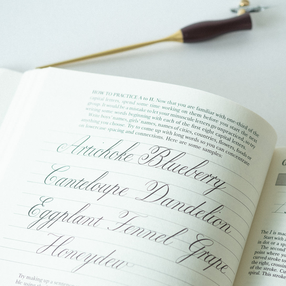 Mastering Copperplate Calligraphy by Eleanor Winters – The Ultimate ...