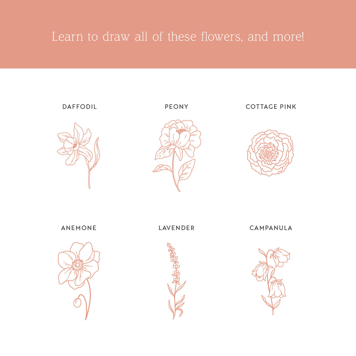 Drawing Guide: English Country Garden – Tom's Studio